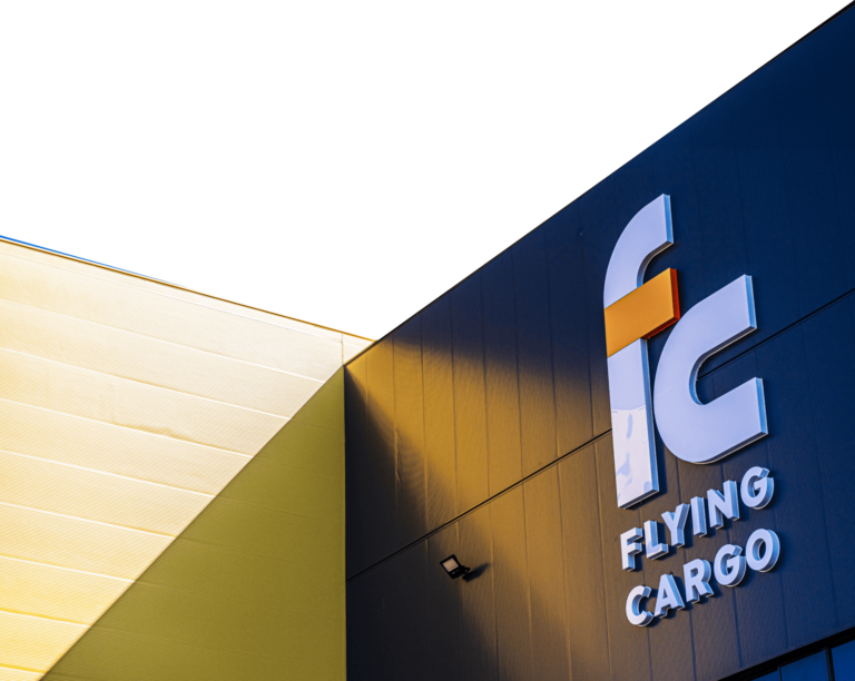 Flying Cargo I Advanced logistic and supply chain management